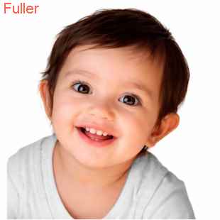 Fuller - meaning | Baby Name Fuller meaning and Horoscope