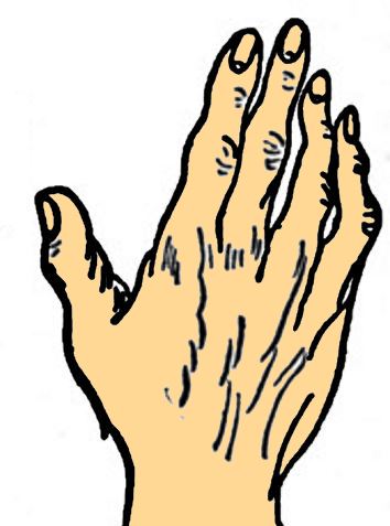 Hands - Palminstry