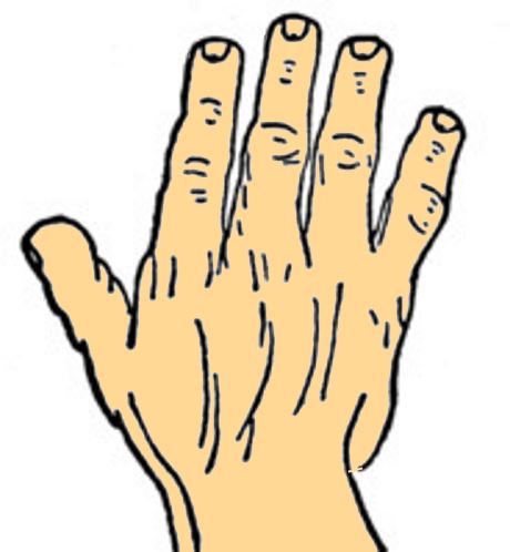 Hands - Palminstry