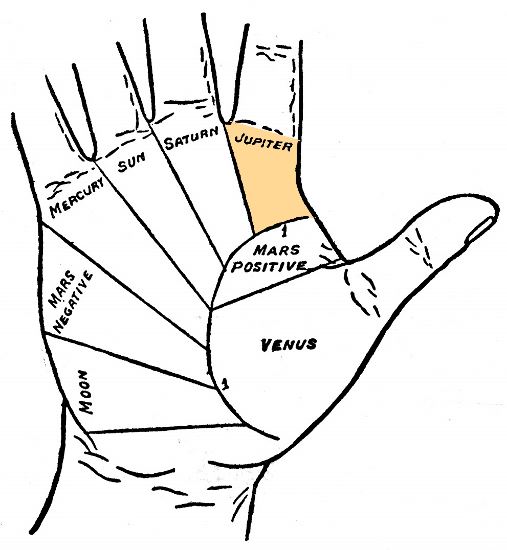 Jupiter Mount - Palminstry