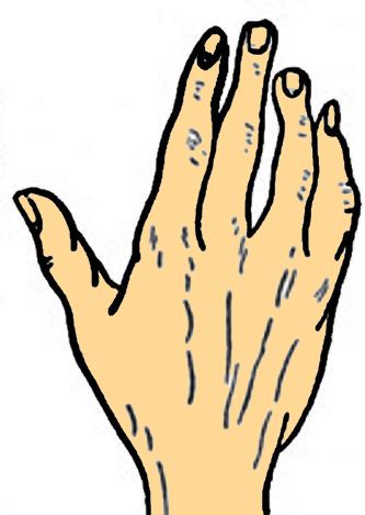 Hands - Palminstry