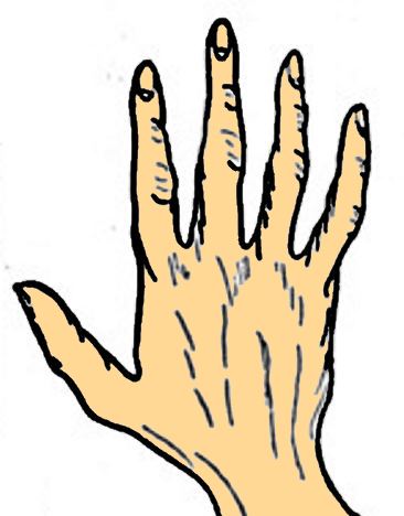 Hands - Palminstry